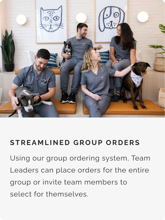 Team Orders - Discounts, Promos & Custom Logos | FIGS · FIGS