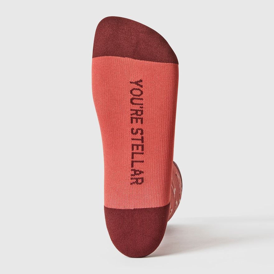 FIGS Compression Socks - You Are Stellar/Spiced Cider