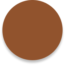 FIGS | Student Program · FIGS